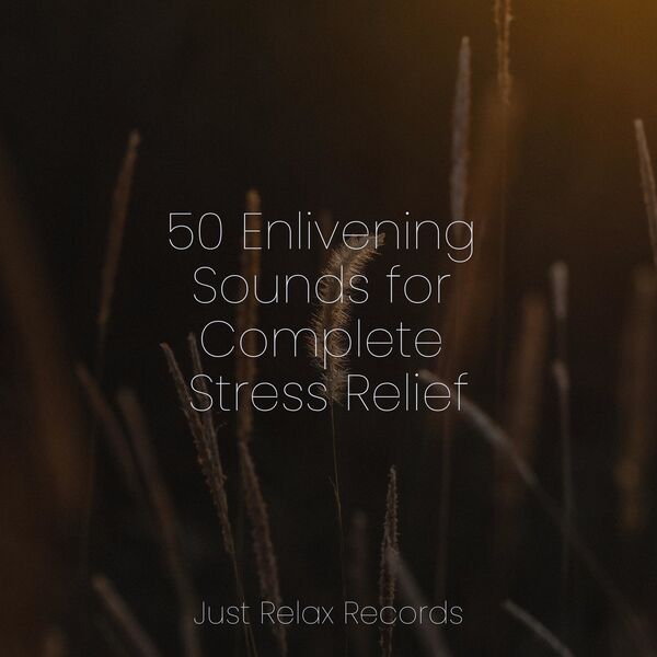 50 Enlivening Sounds for Complete Stress Relief, Massage Therapy Music ...