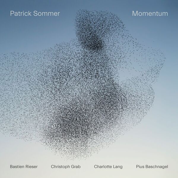 Momentum, Patrick Sommer - Qobuz