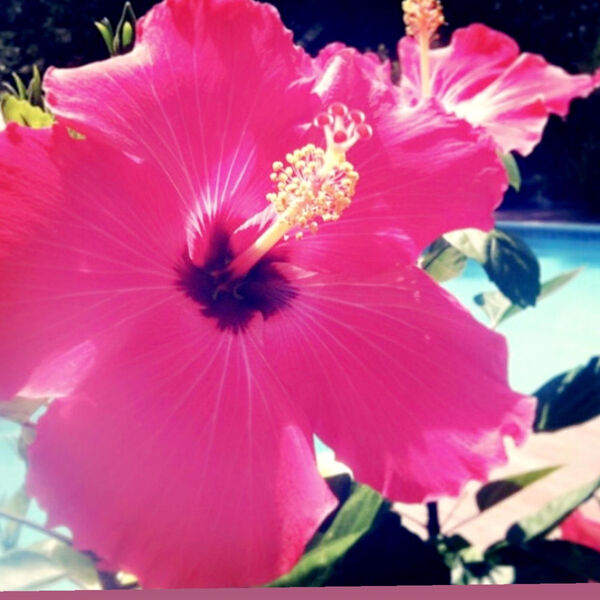 Turn Back Time, Jennie journey - Qobuz