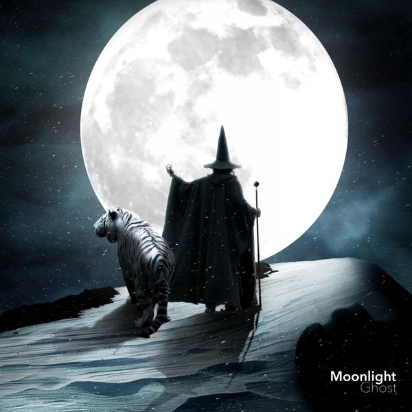Moonlight, Ghost - Qobuz