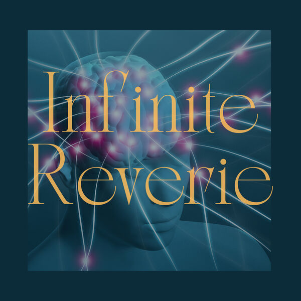 Infinite Reverie, Ronaldo de Paula - Qobuz