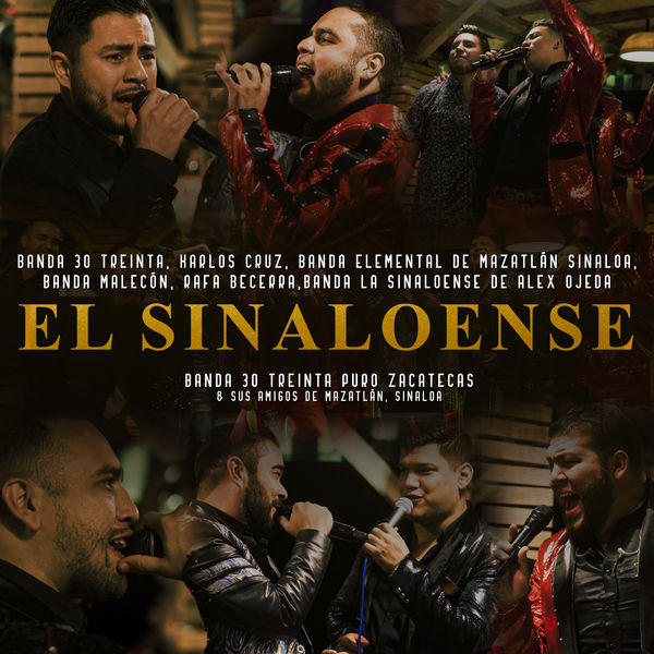 El Sinaloense (Puro Zacatecas & Sus Amigos De Mazatlán Sinaloa), Banda ...