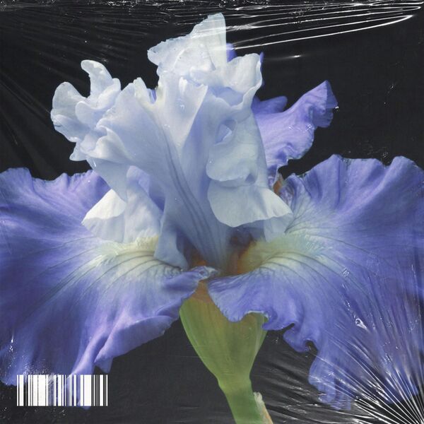 The Good Lie (Feat. JH), Iony - Qobuz