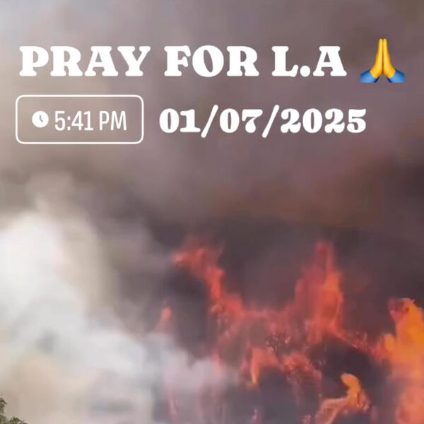 MALIBU FLAMES Pacific Palicades Los Angeles Fire Brush fire 2025, Lori ...