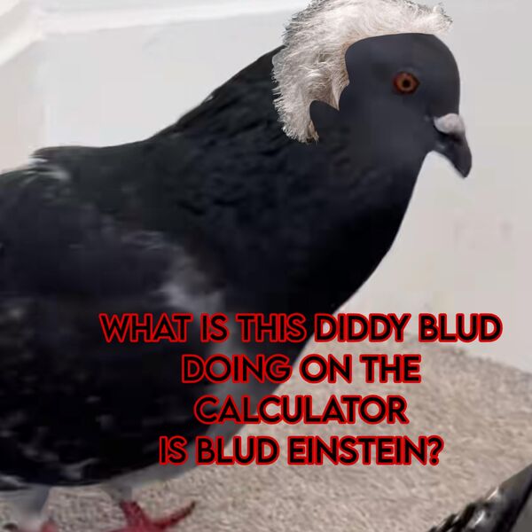 WHAT IS THIS DIDDY BLUD DOING ON THE CALCULATOR IS BLUD EINSTEIN? (feat ...