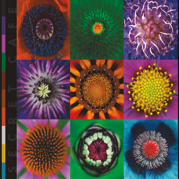 Electric Gauchos Box Set: Secret Cafe, Steve Ball - Qobuz