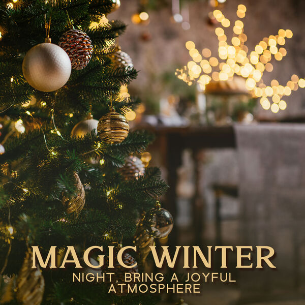 Magic Winter Night, Gavin Kestrelworth - Qobuz