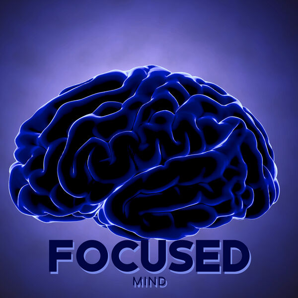 Focused Mind (Gentle Spa Music, Deep Meditation for Studying ...