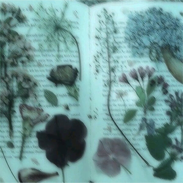 not even her (sped up), Lil Uzi Vert - Qobuz