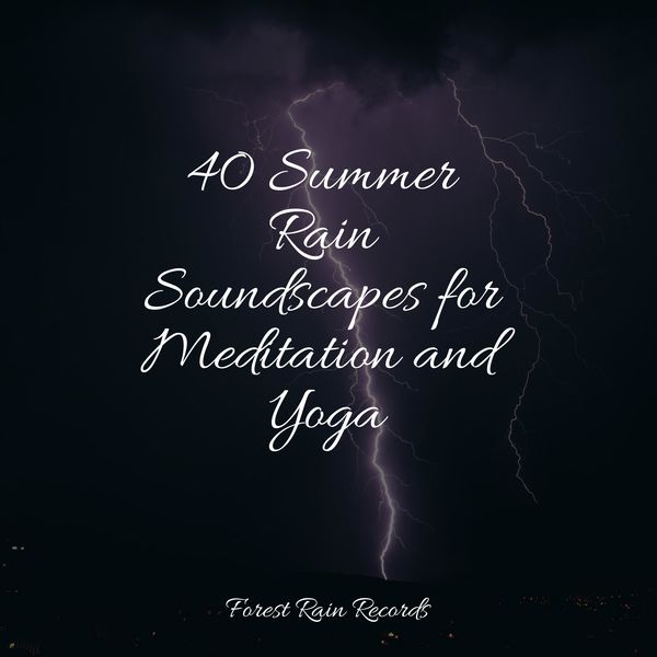 40 Summer Rain Soundscapes for Meditation and Yoga, Water Spa - Qobuz