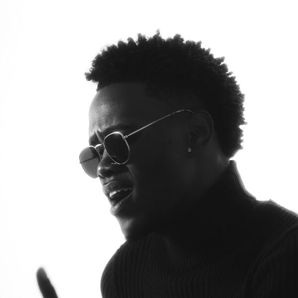 ZISS TOI (feat. Hansmusik), Sebby - Qobuz