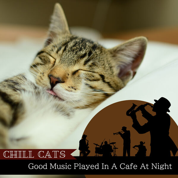 Good Music Played In A Cafe At Night, Chill Cats - Qobuz