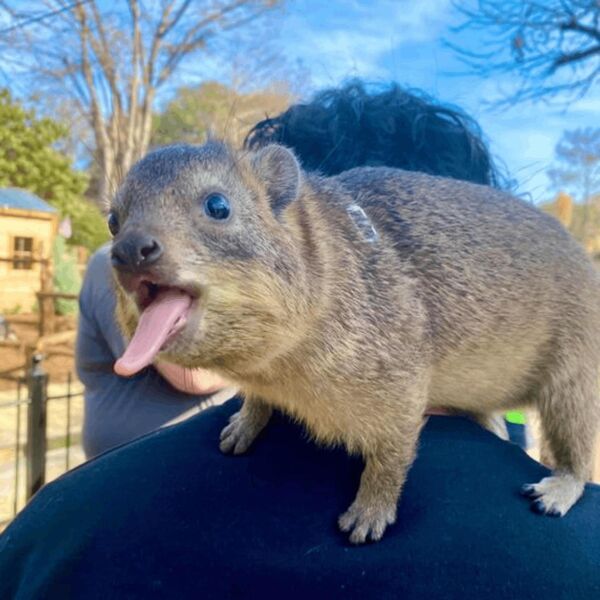 Dave Blunts, Enhance Archive - Qobuz