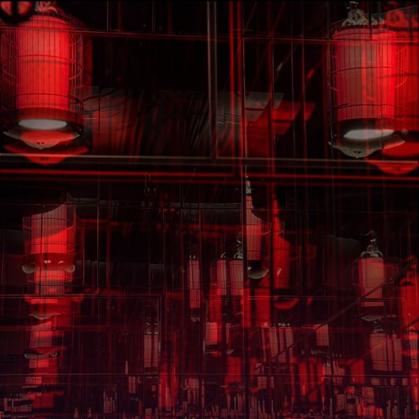 Your Curse, Ado - Qobuz