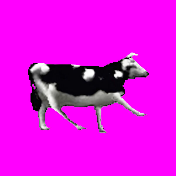 Dancing Polish Cow, Cow Vibing - Qobuz