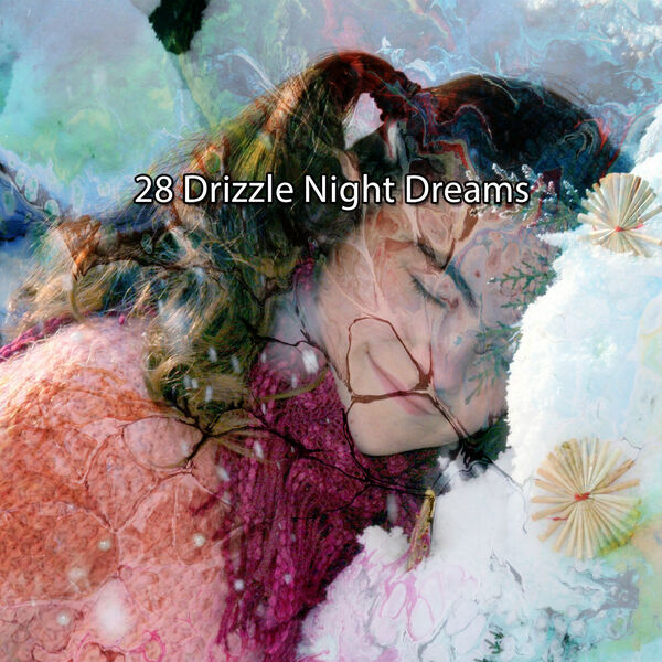 28 Drizzle Night Dreams, The Rain Library - Qobuz