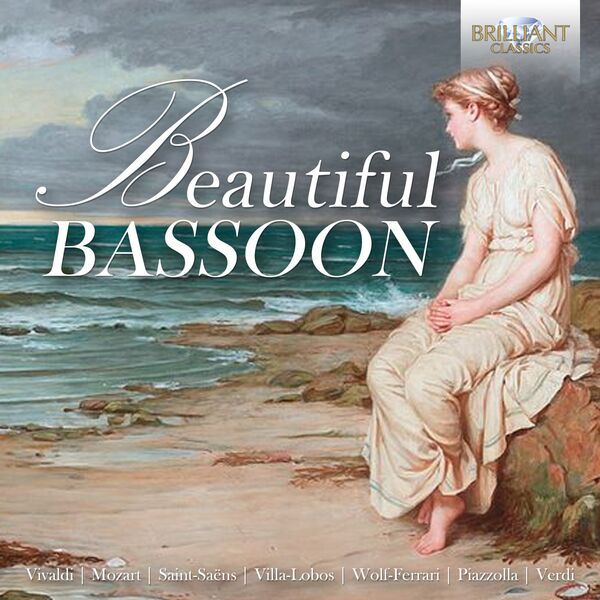 Beautiful Bassoon, Trio Andrea Palladio - Qobuz