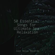 50 Essential Songs for Ultimate Spa Relaxation, Spa Relaxation & Spa ...