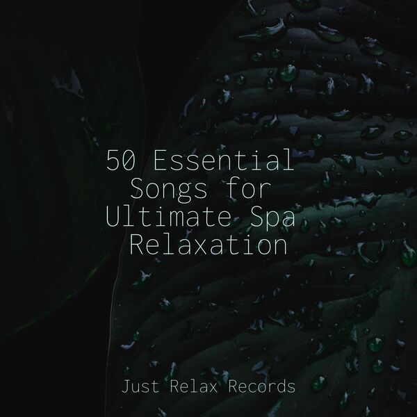 50 Essential Songs for Ultimate Spa Relaxation, Spa Relaxation & Spa - Qobuz