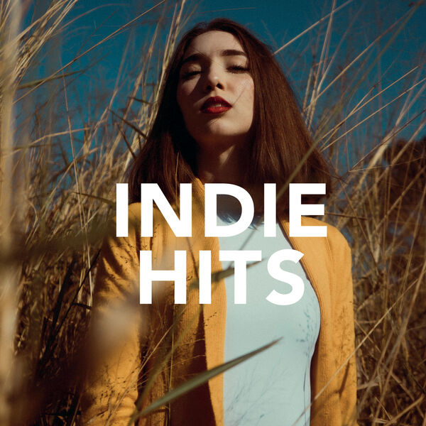 indie-hits-various-artists-qobuz