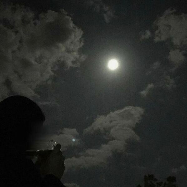 Life Hurts 2, SUMMER ALONE - Qobuz