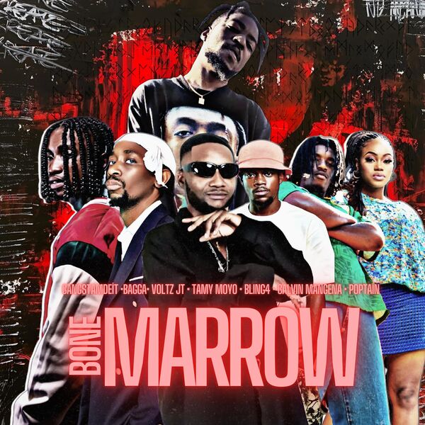 Bone Marrow (feat. Bagga, Voltz Jt, Bling4, Tamy Moyo, Calvin Mangena & Poptain), Gangstamadeit ...