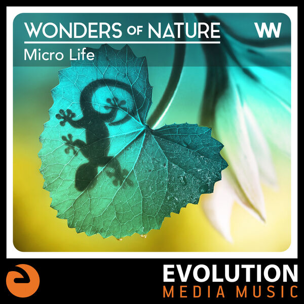 Wonders Of Nature: Micro Life, Nicholas Paton - Qobuz