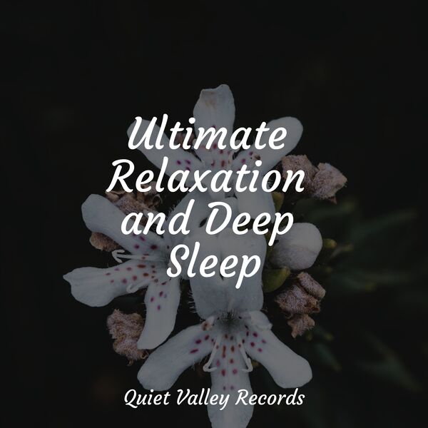 Ultimate Relaxation and Deep Sleep, Natural Sample Makers - Qobuz