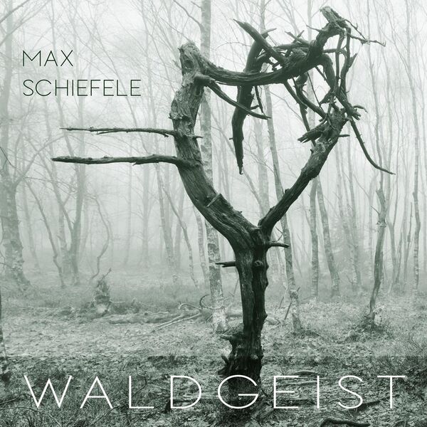 Waldgeist, Max Schiefele - Qobuz