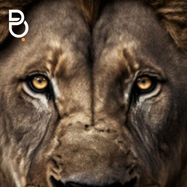 I Am Lord your God, Braam Official - Qobuz