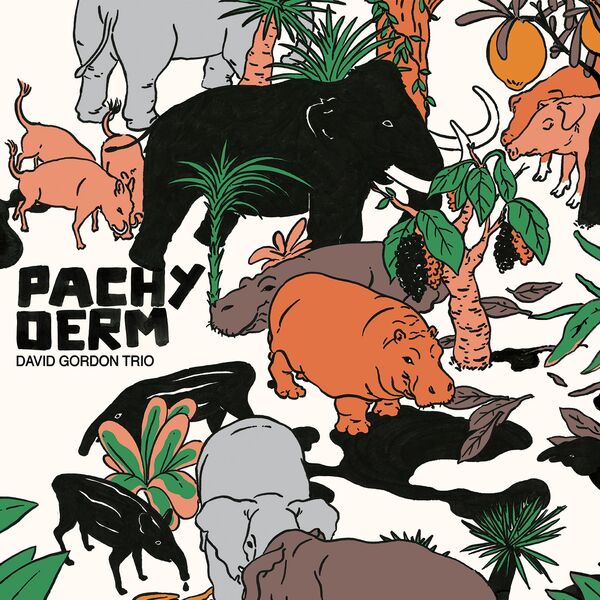 Pachyderm, David Gordon Trio - Qobuz