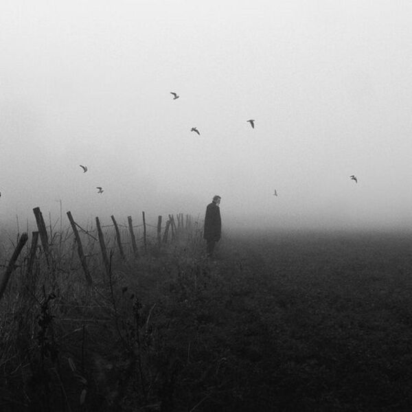 The Escalation of a Trauma, DEAD END - Qobuz