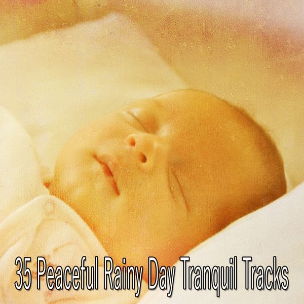 35 Peaceful Rainy Day Tranquil Tracks, Rain Sounds - Qobuz