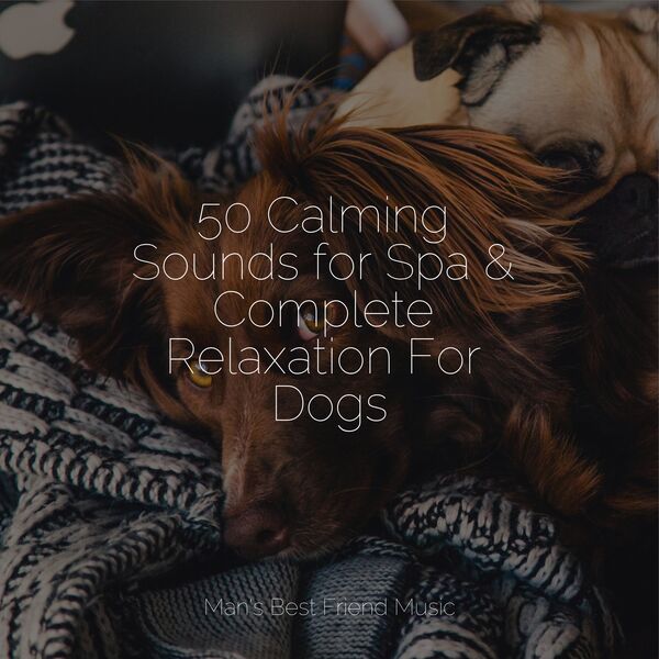 50 Calming Sounds for Spa & Complete Relaxation For Dogs, Music for ...