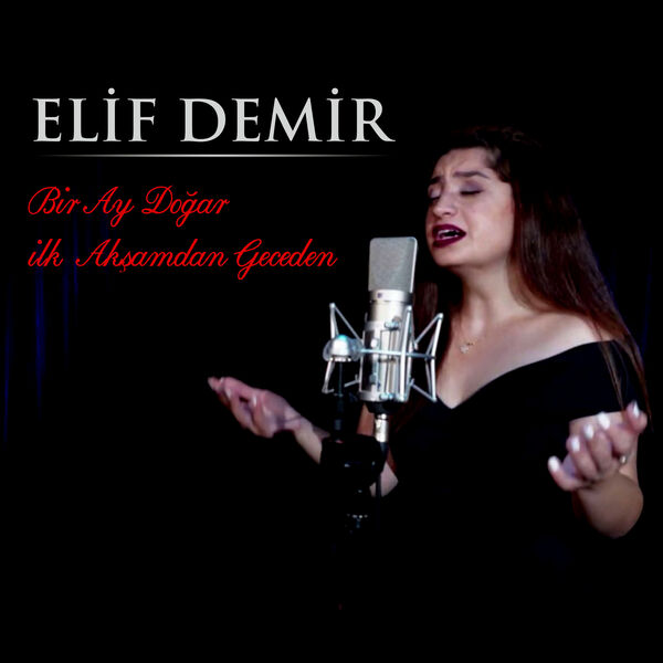 Bir Ay Doğar İlk Akşamdan Geceden, Elif Demir - Qobuz