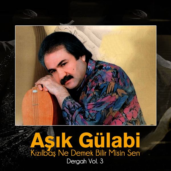 Kızılbaş Ne Demek Bilirmisin Sen (Dergah, Vol. 3), Aşık Gülabi - Qobuz