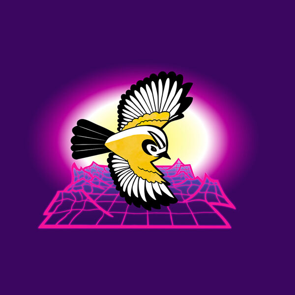 Dine Øjne, Flyv Fugl - Qobuz