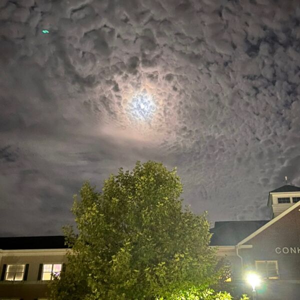 Bot, Drayahh - Qobuz