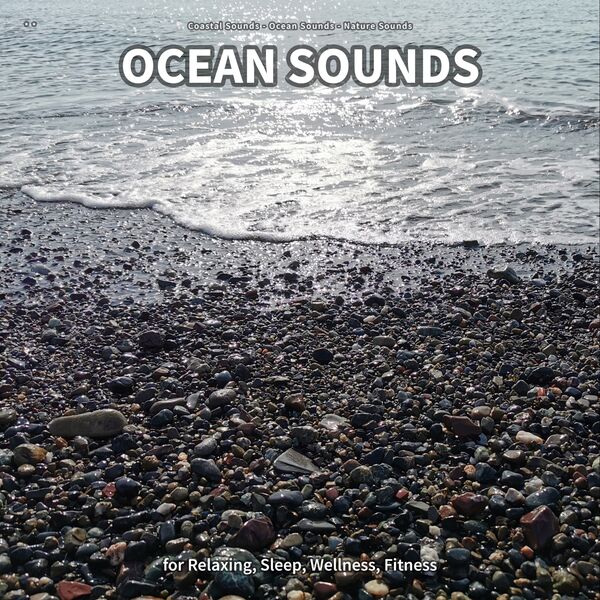 ** Ocean Sounds for Relaxing, Sleep, Wellness, Fitness, Coastal Sounds - Qobuz