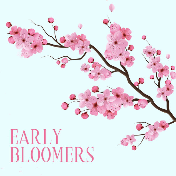 Early Bloomers: Beautiful Traditional Chinese Music, Traditional - Qobuz