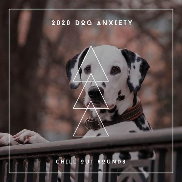 2020 Dog Anxiety Chill Out Sounds, Dog Chill Out Music - Qobuz