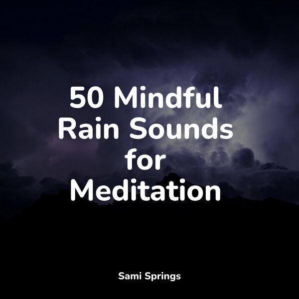 50 Mindful Rain Sounds for Meditation, Tailormade Ocean Waves - Qobuz