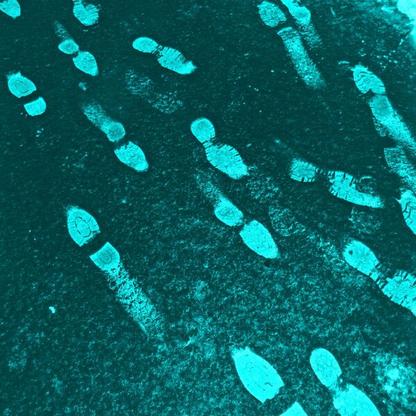 Walks, Hugo Serrano - Qobuz