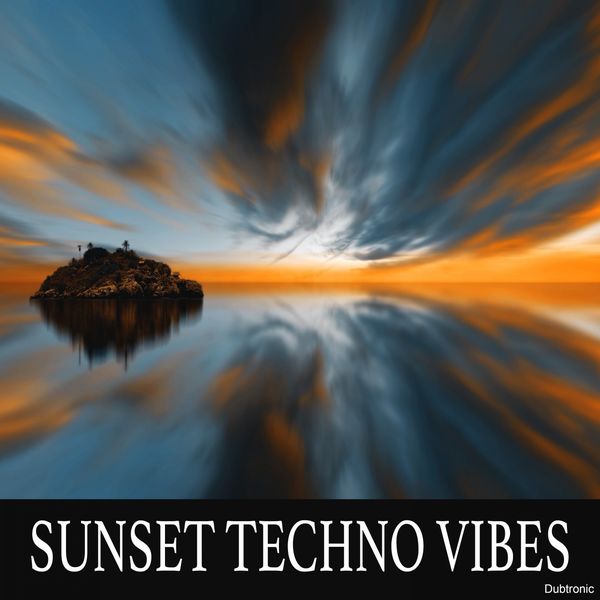 Sunset Techno Vibes, Various Artists - Qobuz