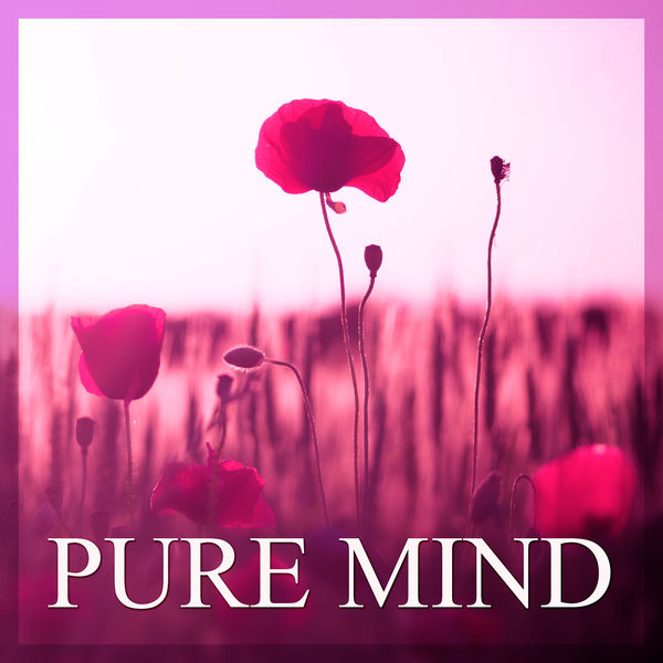 Pure Mind – Beautiful New Age Music for Relaxation Body, Soul & Mind ...