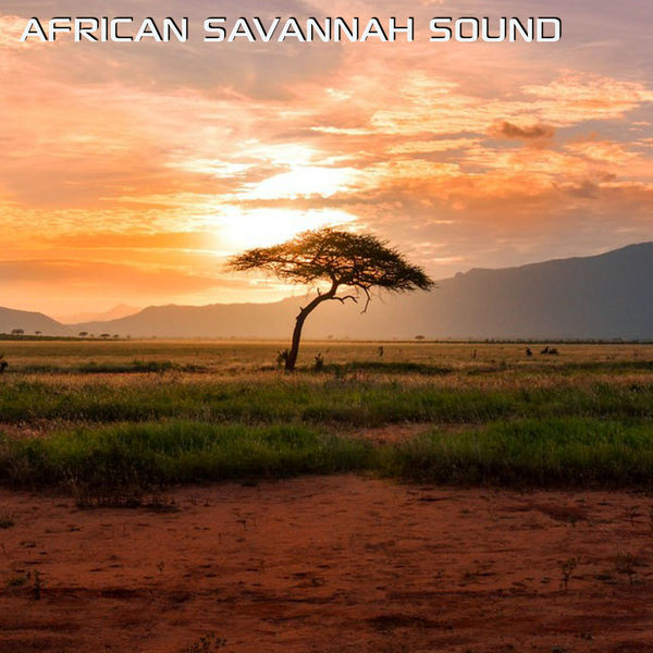 African Savannah Sound (feat. Atmosphere Soundscapes, Discovery Africa ...