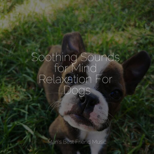 Soothing Sounds for Mind Relaxation For Dogs, Deep Sleep - Qobuz