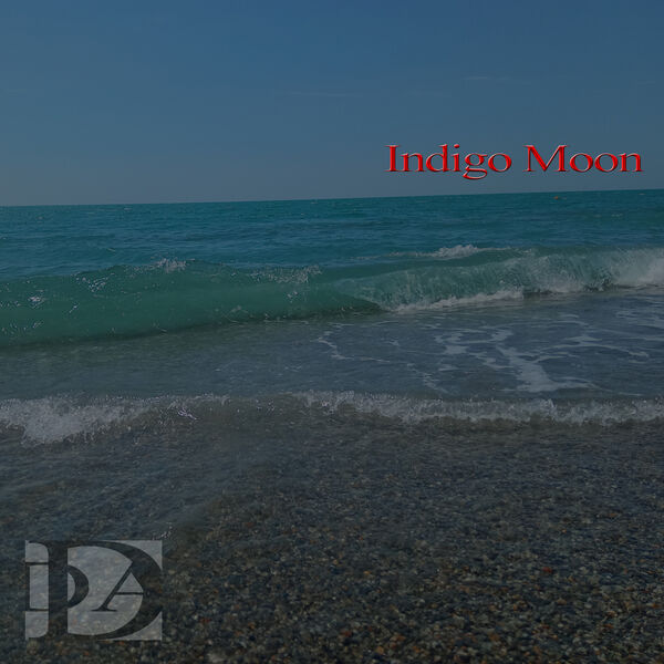 Indigo Moon, Various Artists - Qobuz