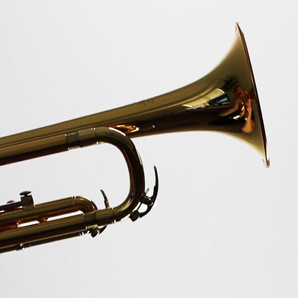 Welcome to Los Santos (From "Grand Theft Auto V"), Luke Pickman - Qobuz