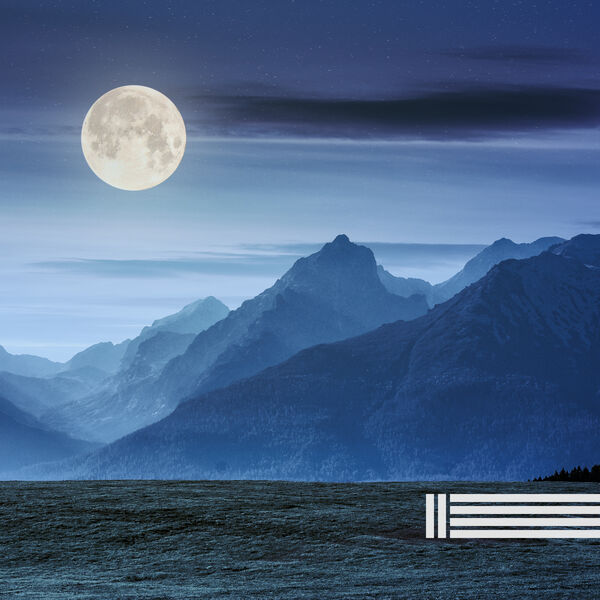 Cicada Sounds (Loopable), Night Sounds - Qobuz